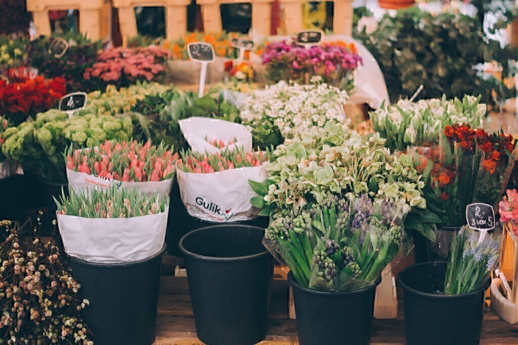 How to Choose Flowers - Puget Sound Consumers' Checkbook