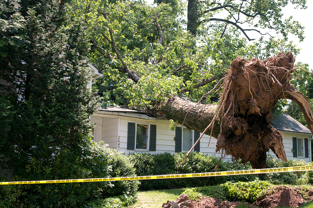What You Should Do After Damage to Your Home - Washington Consumers ...