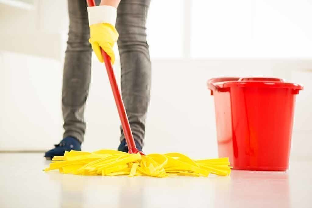 How to Hire an Individual Housecleaner - Washington Consumers' Checkbook