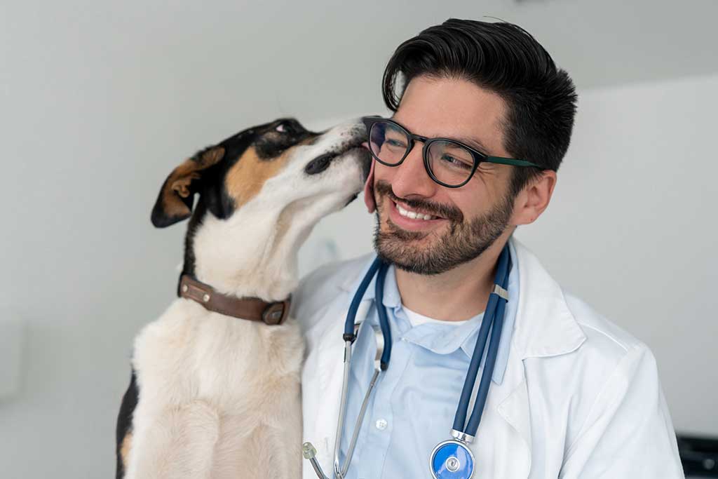 How to Find the Best Veterinarian - National